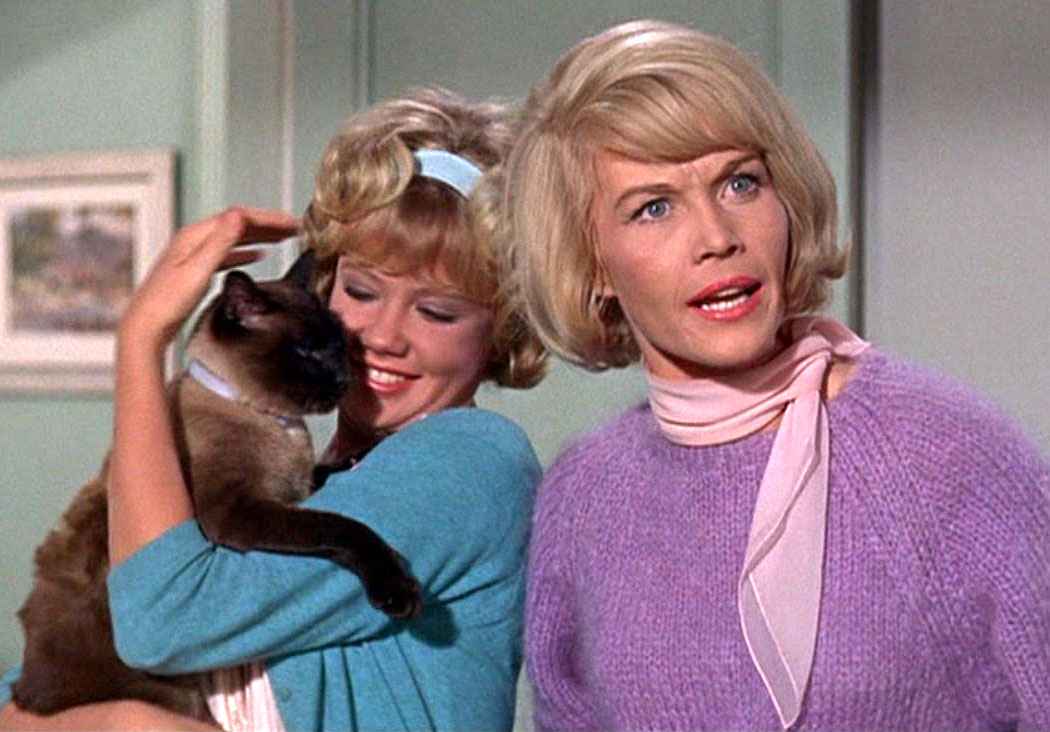 Awkward Transitions: The Chalk Garden (1964) and That Darn Cat! (1965 ...